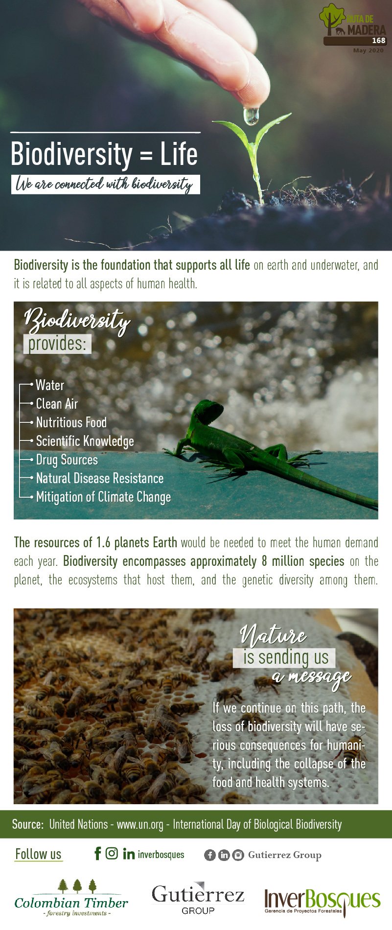 Biodiversity = Life - Colombian Carbon Credits